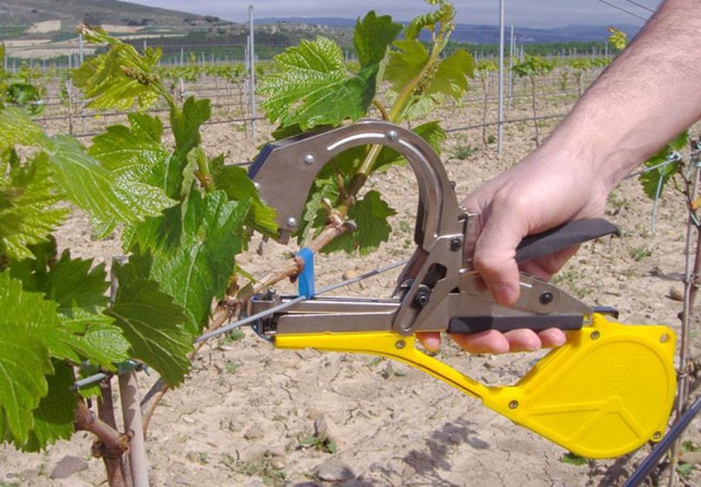 Horticultural Tying Fastening | Eclipse Enterprises